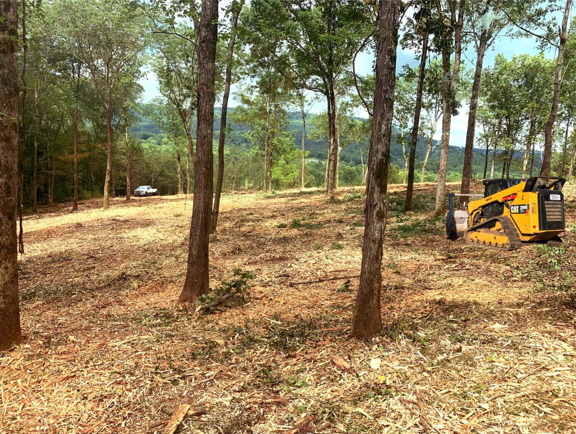 Small to Medium Timber and Brush Clearing - Timberwolf Land Clearing