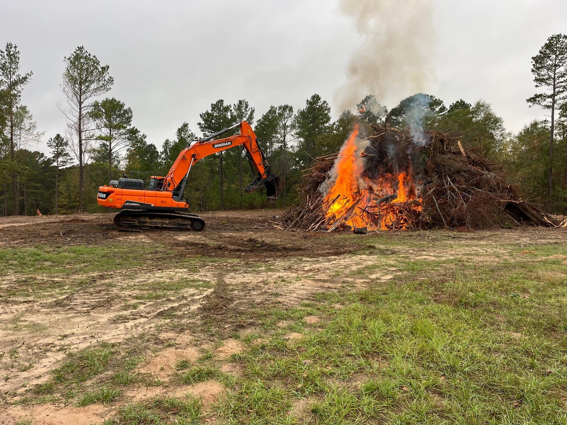 Burn & Bury – Timberwolf Land Clearing